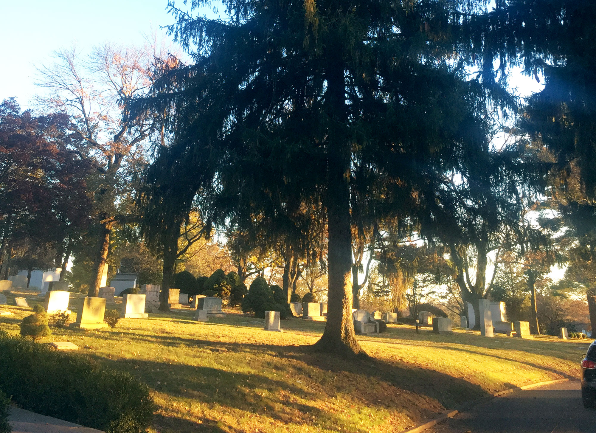 Arboretum – Friends of Fairview